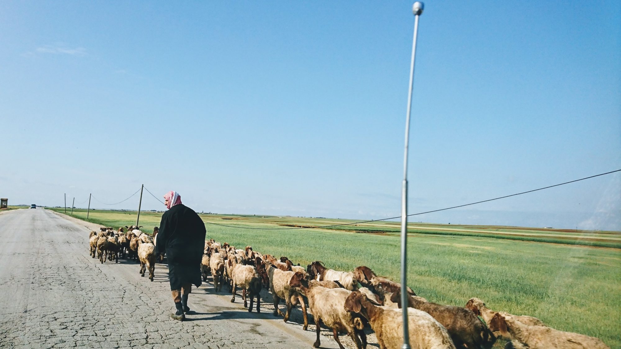 Carnet du Rojava (2/3)