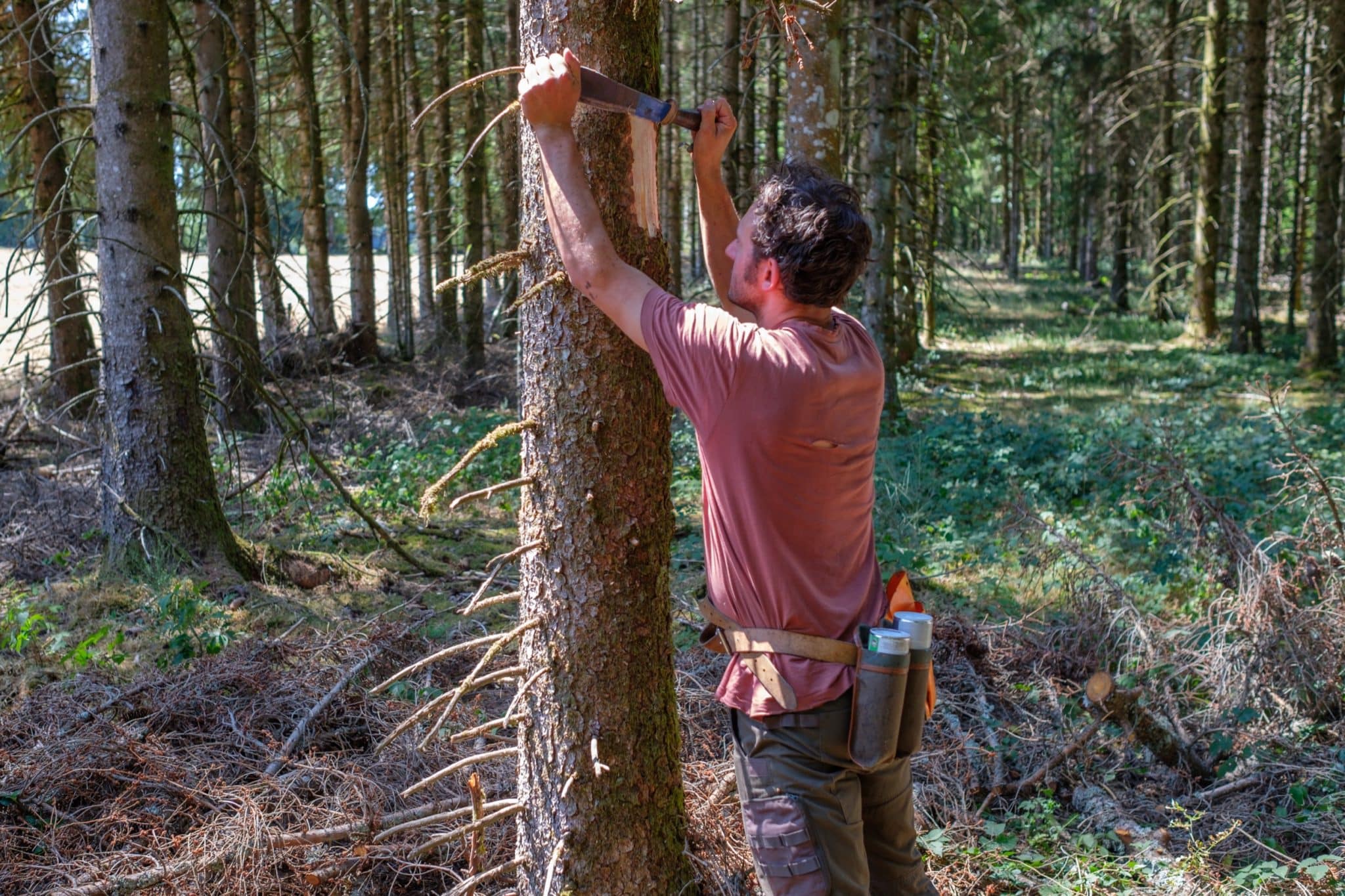 L’usage de la forêt et l’usure du bûcheron